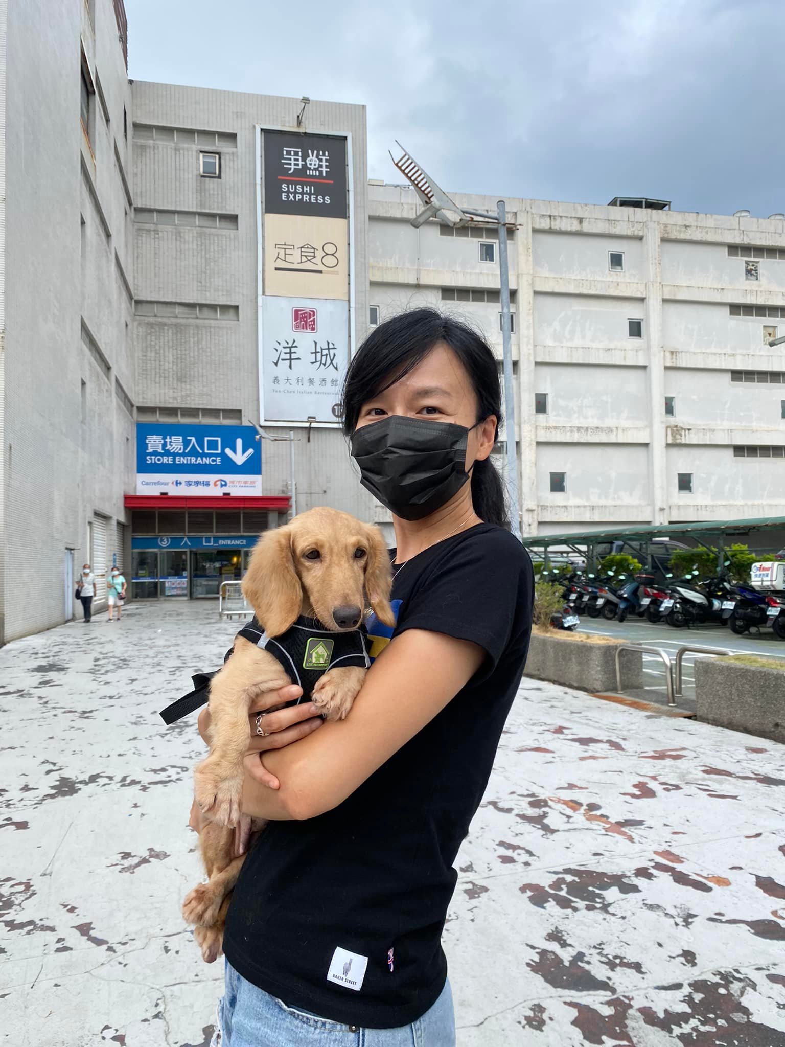 迎來家裡的新成員~臘妹 – 妞媽 LISA LI X 妞爸169 分享愛